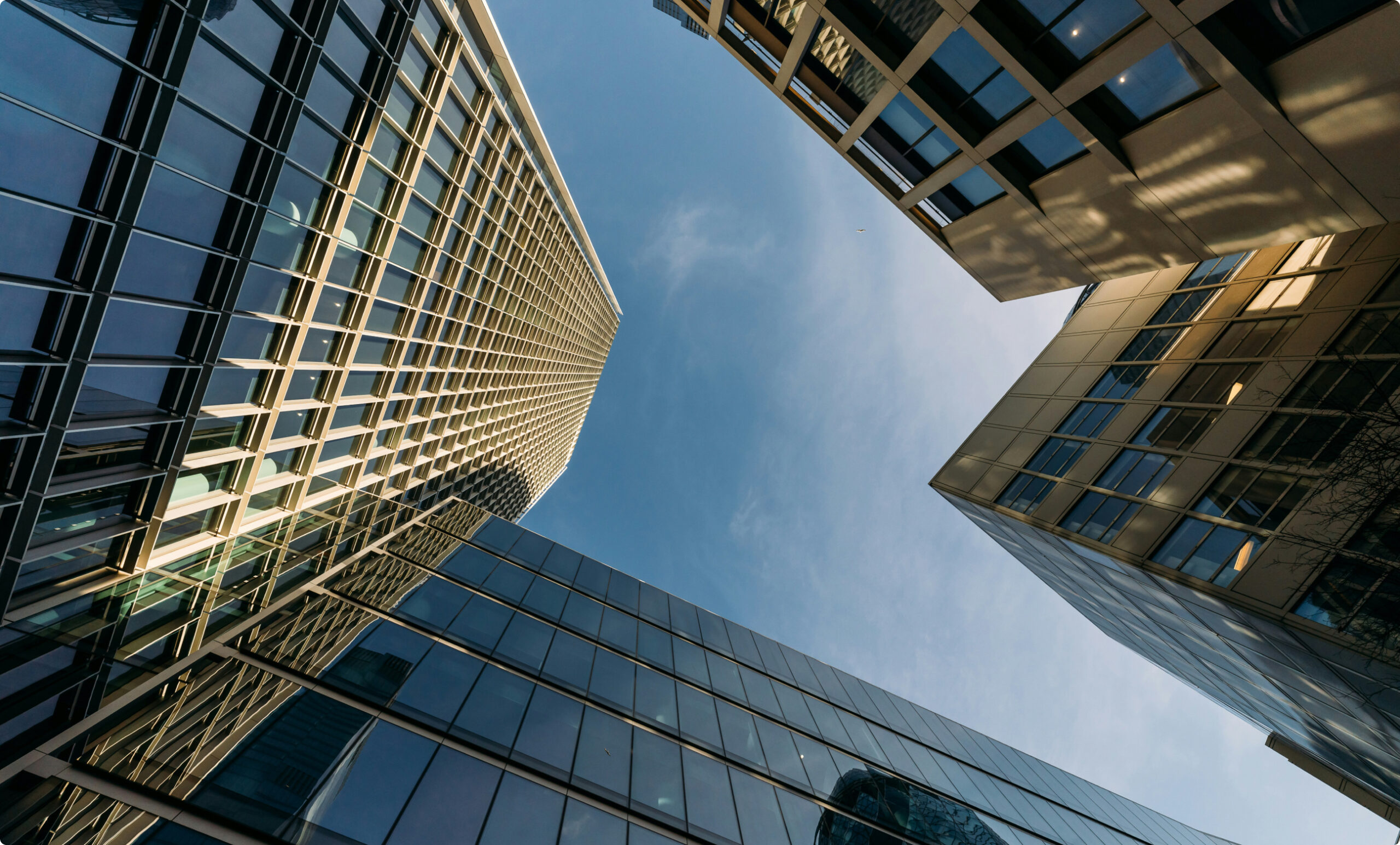 Altior est une agence de haute performance comme vous n'en avez jamais ...